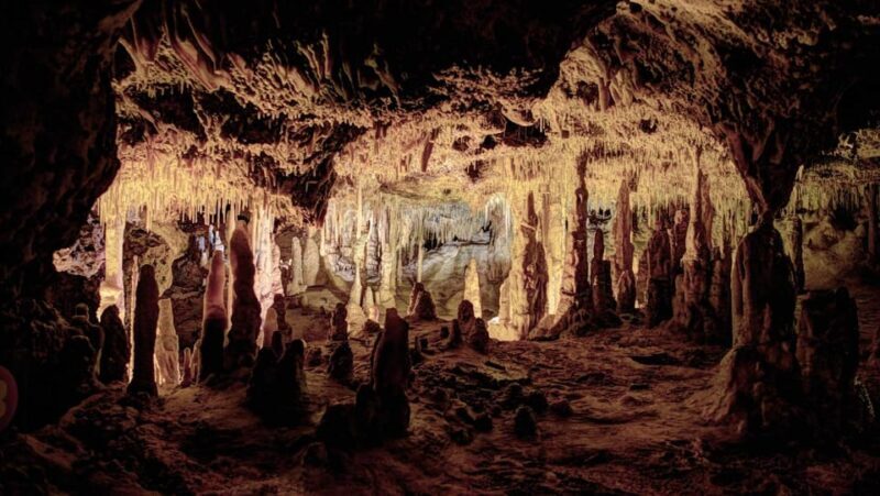 Mallorca: Half-Day Hams' Caves Tour with Pearl Shop Visit - Key Points:
