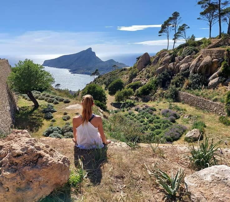Mallorca hiking tour "Castell d'Alaró" - A Closer Look at the Castell dAlaró Hiking Tour