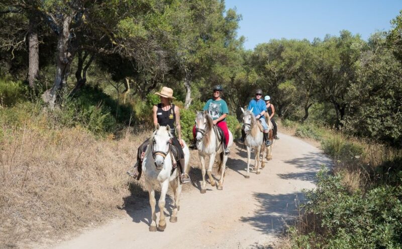 Mallorca: Horseback Riding Excursion and Wine Tasting - Practical Aspects and Value