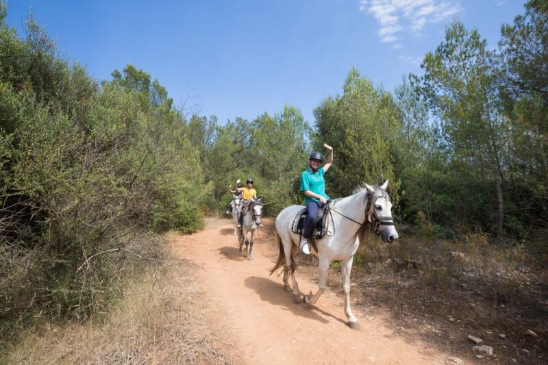 Mallorca: Horseback Riding Excursion and Wine Tasting - The Sum Up