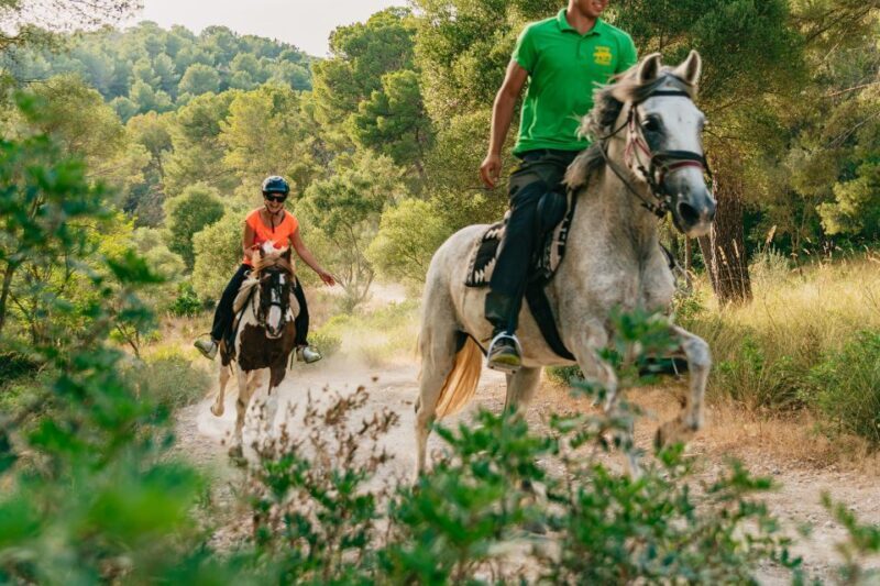 Mallorca: Horseback Riding Experience with Food Options - Exploring Mallorca’s Horseback Riding Experience: Authentic, Scenic, and Fun