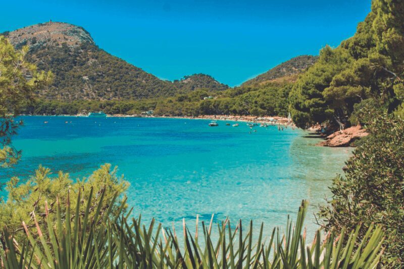Mallorca: Instafamous Tour of Palma and North coast - The Iconic Cathedral of Palma