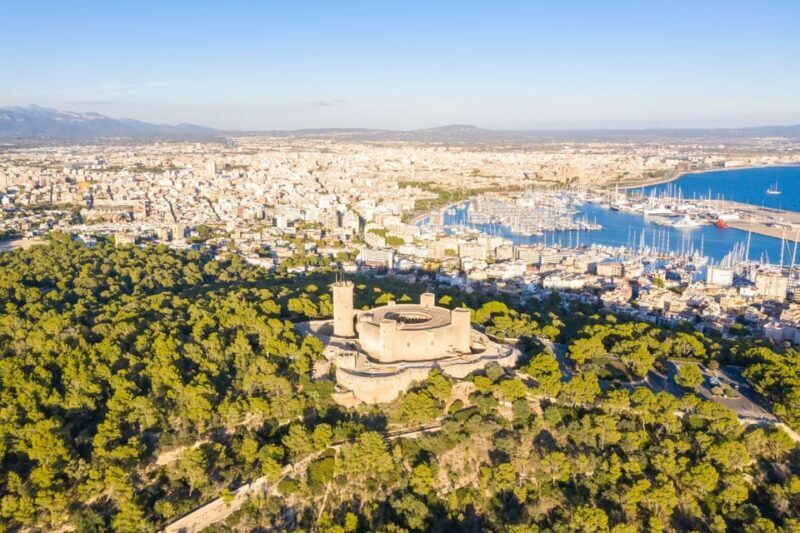 Mallorca: Instafamous Tour of Palma and North coast - Port de Pollenca and Scenic Promenades