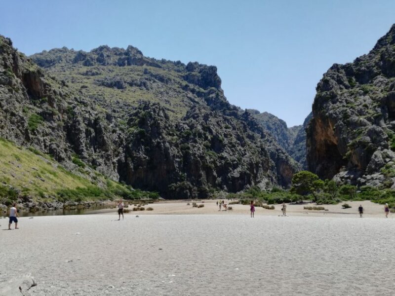 Mallorca: Island Tour with Boat, Train, and Hotel Transfer - Starting Point: From Palma to Sóller by Vintage Train
