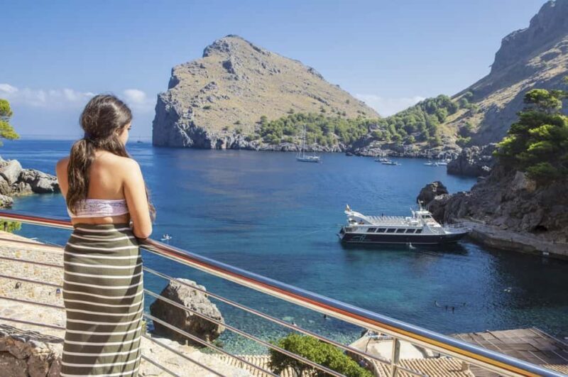 Mallorca Island Tour with Boat, Train, Tram and Bus - A Deep Dive into the Experience