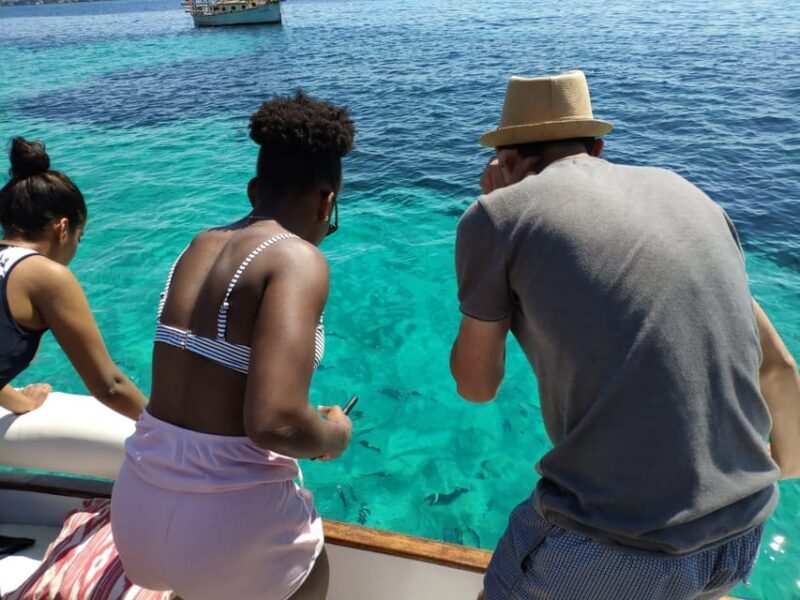 Mallorca: Llaüt Excursion around Palma with food and drinks - Who Should Book This Tour?