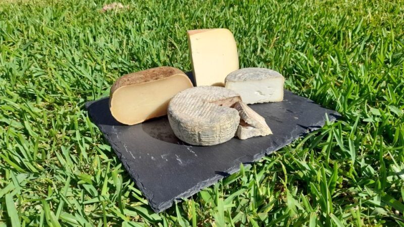 Mallorca: Local Wines & Foods Tasting - The Experience and Its Highlights
