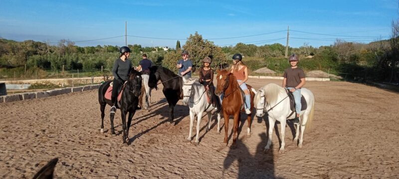 Mallorca: , Mallorcan sunset, horseback riding, with drinks - Key Points
