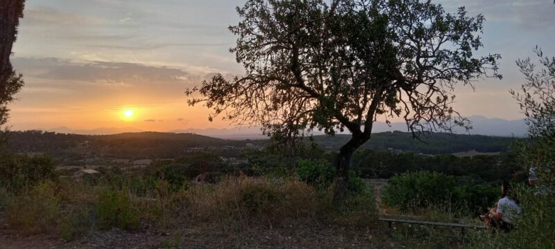 Mallorca: , Mallorcan sunset, horseback riding, with drinks - What’s Included and What to Consider