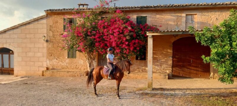 Mallorca: , Mallorcan sunset, horseback riding, with drinks - Who Will Love This Tour?