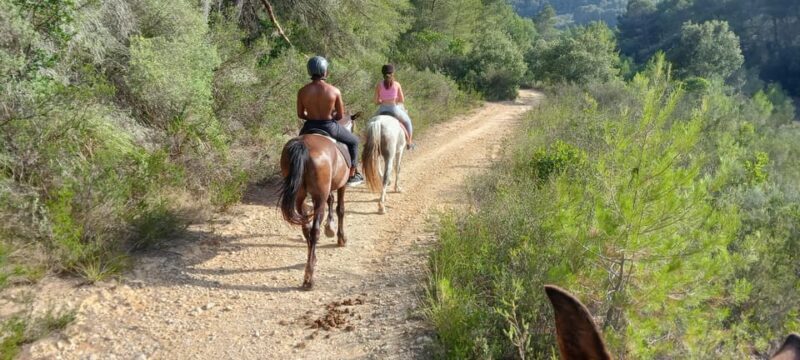 Mallorca: , Mallorcan sunset, horseback riding, with drinks - Final Thoughts