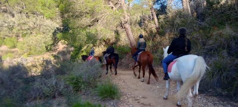 Mallorca: , Mallorcan sunset, horseback riding, with drinks - FAQs