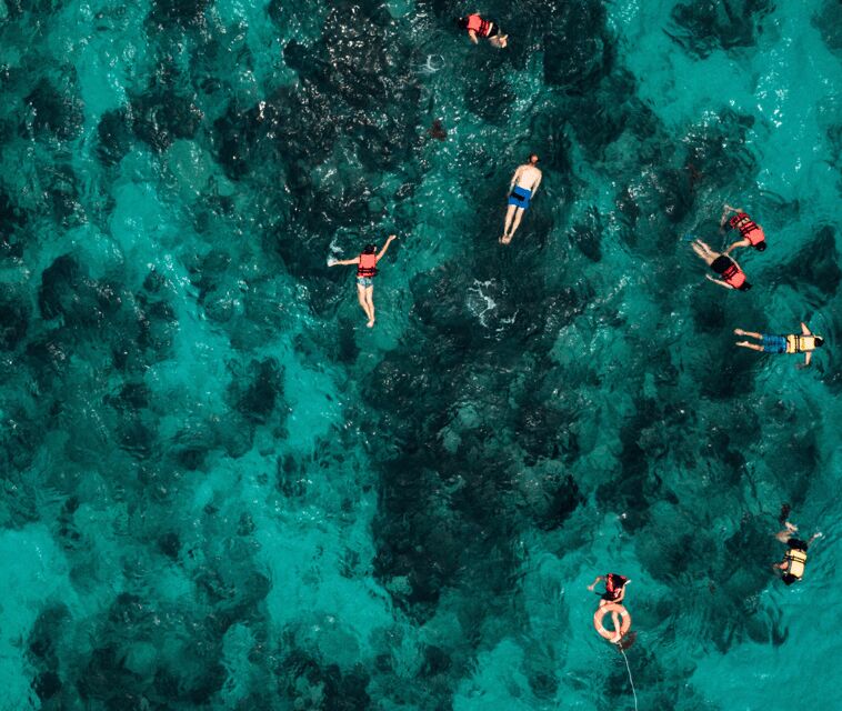 Mallorca Marine reserve: Visit caves, cliffs and snorkeling - The Sum Up