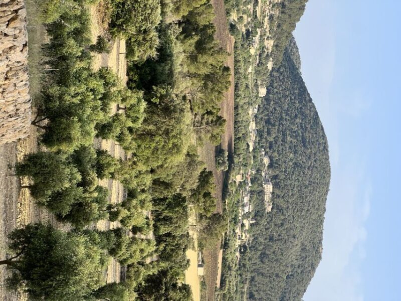 Mallorca Orange Valley Vintage train and orange farm - Key Points