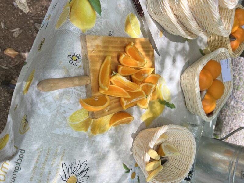 Mallorca Orange Valley Vintage train and orange farm - Frequently Asked Questions
