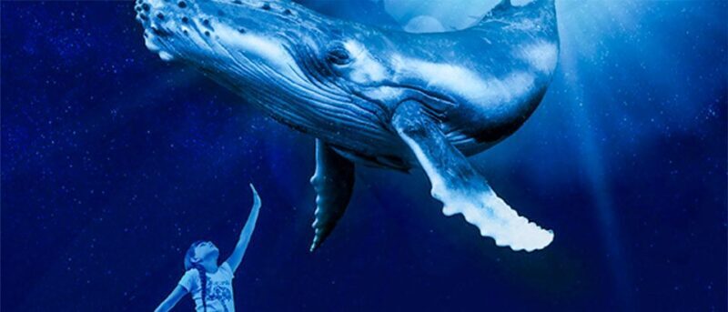 Mallorca: Palma Aquarium Entry Ticket w/ Optional 3D Cinema - Analyzing the Value