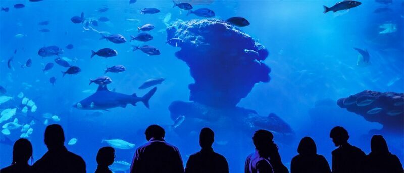 Mallorca: Palma Aquarium Entry Ticket w/ Optional 3D Cinema - The Sum Up