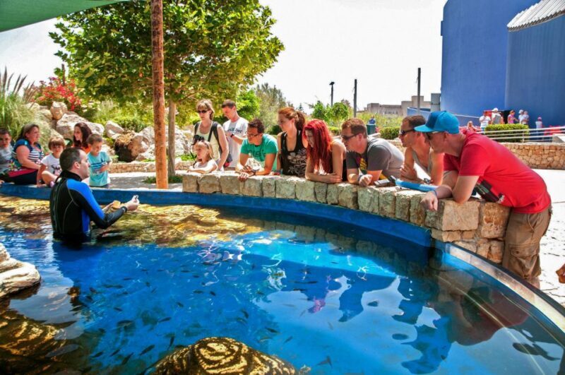 Mallorca: Palma Aquarium Entry Ticket w/ Optional 3D Cinema - FAQ