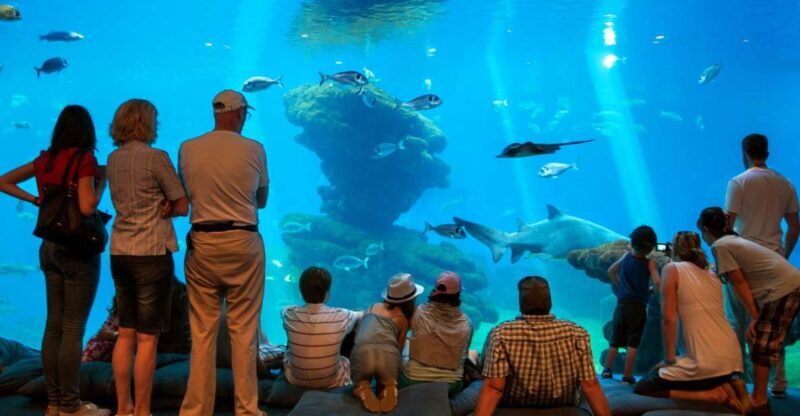 Mallorca: Palma Aquarium Tickets with Transfer - An Honest Look at the Experience