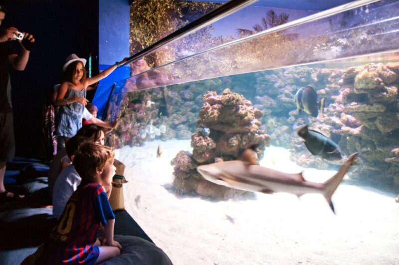 Mallorca: Palma Aquarium Tickets with Transfer - Practical Tips for Visitors