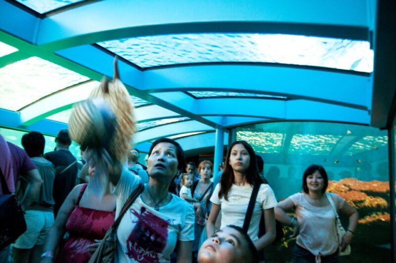 Mallorca: Palma Aquarium Tickets with Transfer - Who Will Love This Tour?