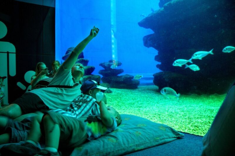 Mallorca: Palma Aquarium Tickets with Transfer - The Sum Up