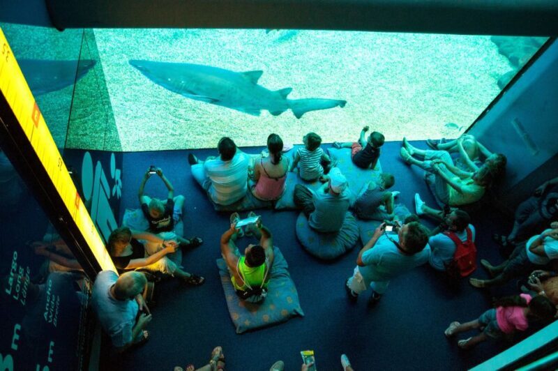 Mallorca: Palma Aquarium Tickets with Transfer - FAQ