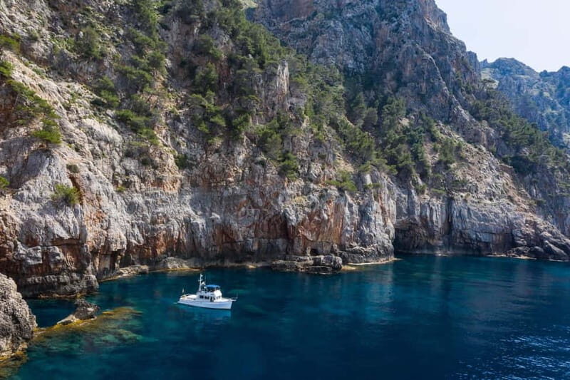 Mallorca: Private boat tour in Palma de Mallorca - Key Points