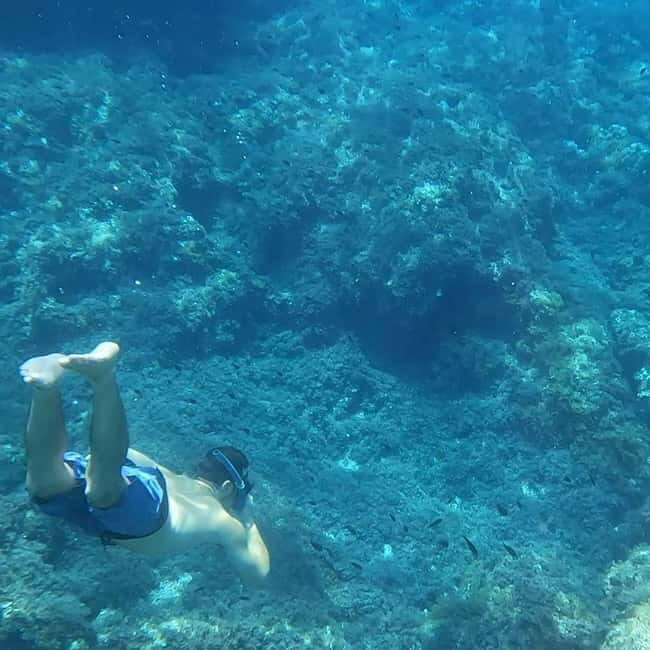 Mallorca: Private Boat Tour with Snorkeling & Snacks - What Travelers Say