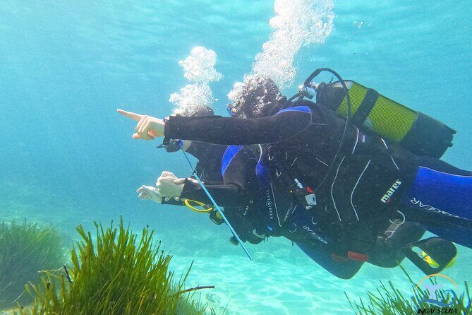 Mallorca PRIVATE Reservation*Scuba dive + photo/video - Key Points