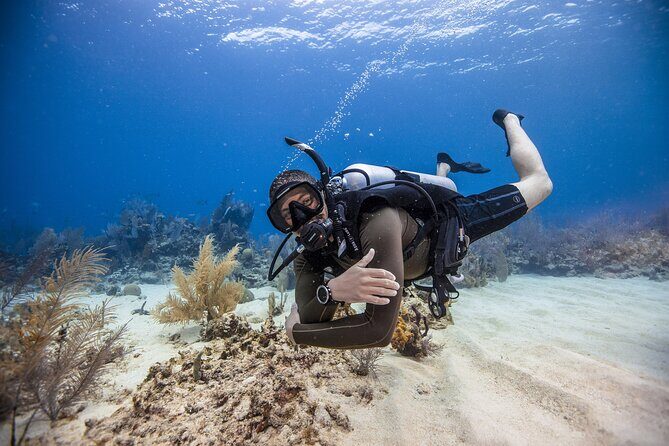 Mallorca PRIVATE Reservation*Scuba dive + photo/video - Why This Scuba Tour Works for Beginners and Curious Travelers