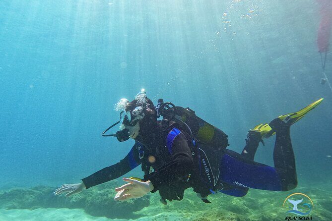 Mallorca PRIVATE Reservation*Scuba dive + photo/video - What’s the Experience Like in Practice?