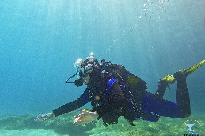 Mallorca PRIVATE Reservation*Scuba dive + photo/video - The Sum Up
