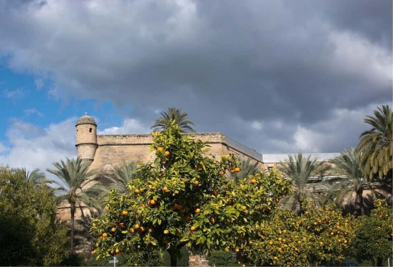Mallorca: Private Tour with Ensaïmada & Fast Cathedral Entry - The Sum Up