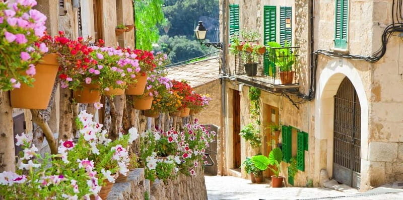 Mallorca: Puerto de Sóller and Valldemossa Morning Trip - FAQs