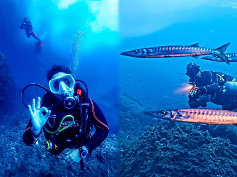 Mallorca: Scuba Dive Adventure Cap de Formentor - 2 dive sites - Key Points