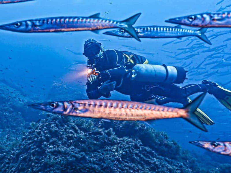 Mallorca: Scuba Dive Adventure Cap de Formentor - 2 dive sites - Who Should Consider This Tour?