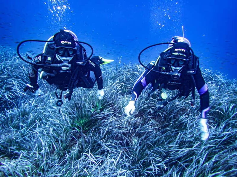 Mallorca: Scuba Dive Adventure Cap de Formentor - 2 dive sites - The Sum Up