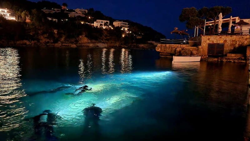 Mallorca: Scuba Diving for Beginners - A Close Look at the Experience