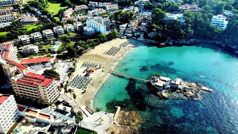 Mallorca: Scuba Diving for Beginners - Practical Tips for Participants