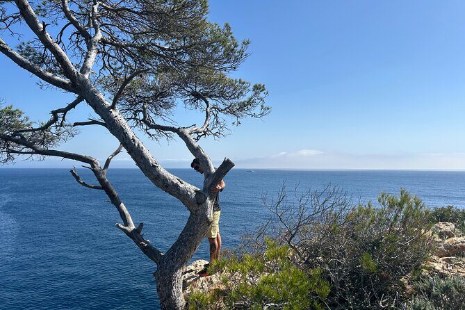 Mallorca Secret Coves Land Rover Private Tour - An Introduction to the Mallorca Secret Coves Land Rover Tour