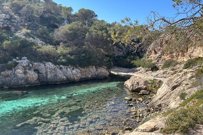 Mallorca Secret Coves Land Rover Private Tour - Final Thoughts: Is It Worth It?