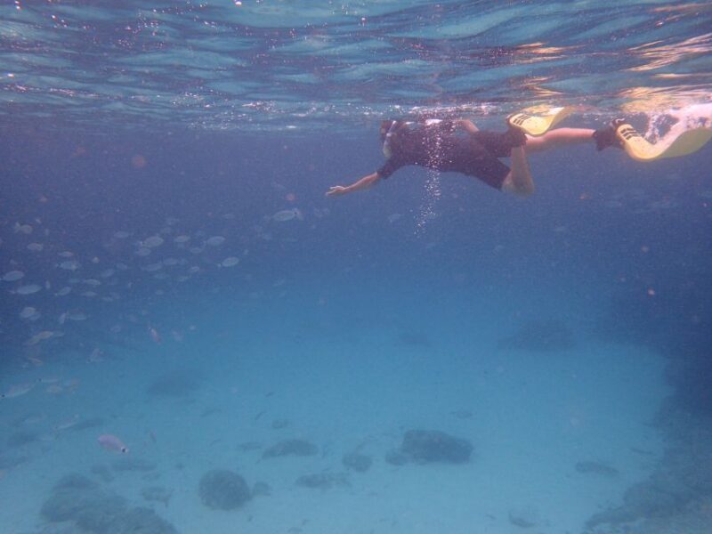 Mallorca: Snorkeling in a Beautiful Nature Reserve - What Makes This Tour a Great Choice?