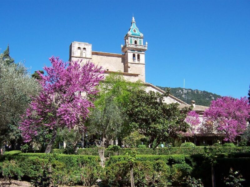 Mallorca: Soller Port and Valldemossa - What Makes This Tour Stand Out?