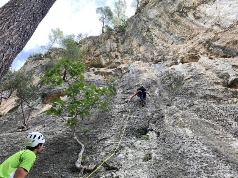 Mallorca: Sport Climbing Day or Course - What You Can Expect on the Day