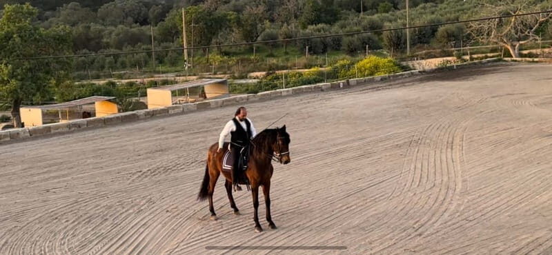 Mallorca: Sunset excursion, horse show, and falconry. - Key Points