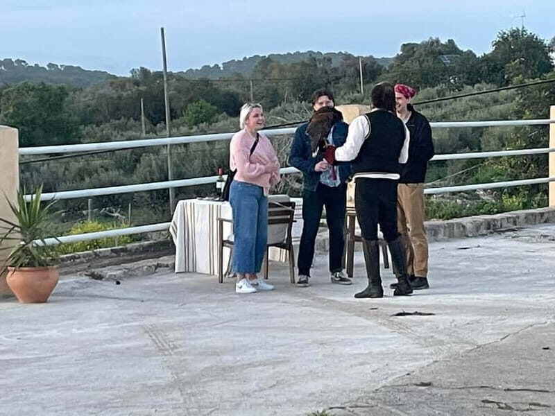 Mallorca: Sunset excursion, horse show, and falconry. - An Overview of the Experience