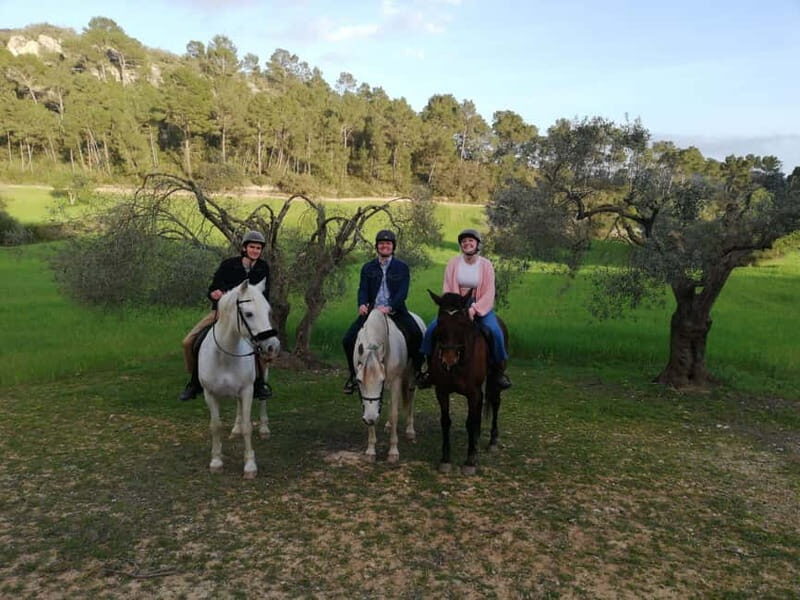 Mallorca: Sunset excursion, horse show, and falconry. - Practical Details on the Tour