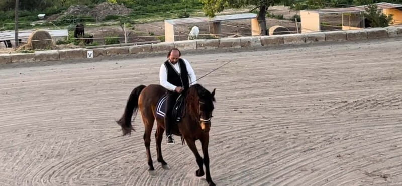 Mallorca: Sunset excursion, horse show, and falconry. - Reviews and Authentic Feedback