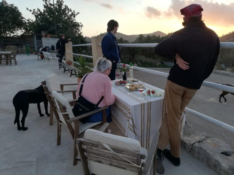 Mallorca: Sunset excursion, horse show, and falconry. - The Sum Up